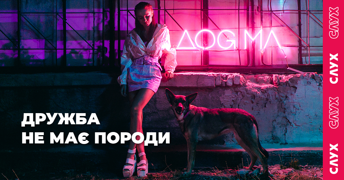 Українські виконавці та актори закликають брати собак з притулку у ...